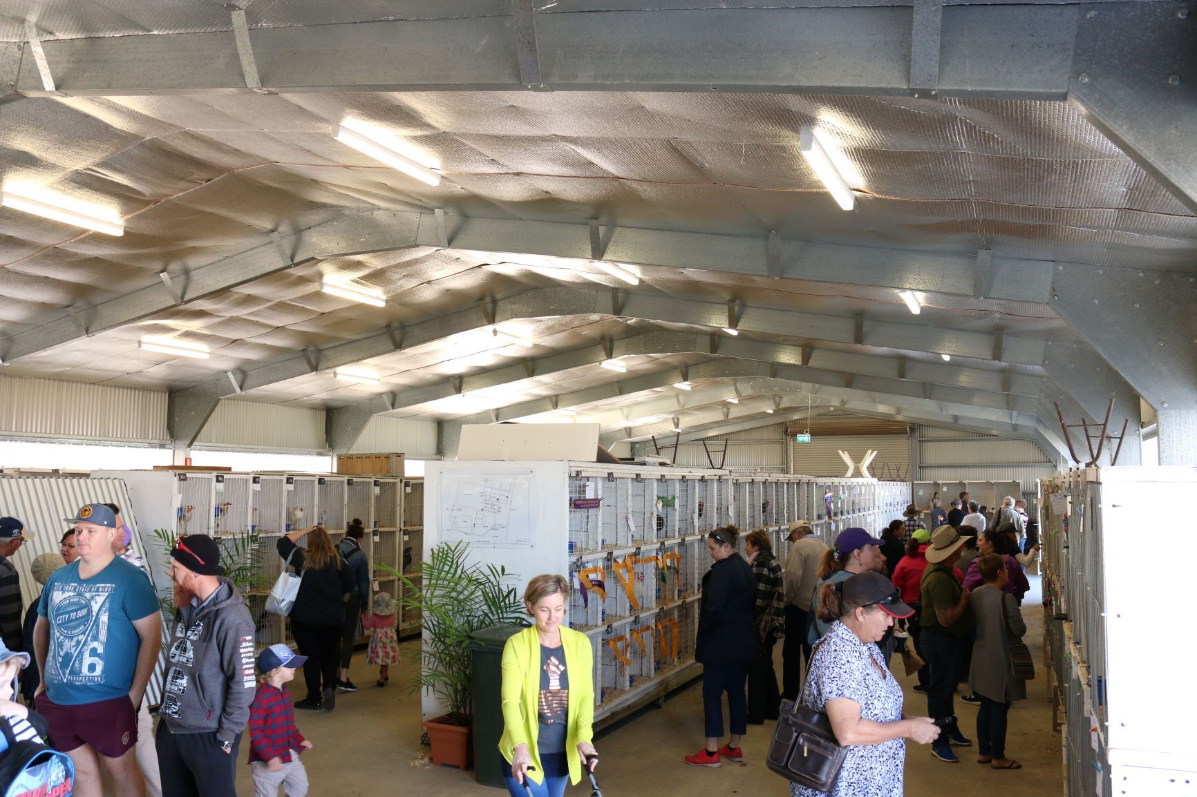 Bundaberg Show preparations continue. | Bundaberg Show