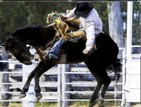 RODEO FRIDAY NIGHT GATE TICKET PRICE ONLY | Bundaberg Show